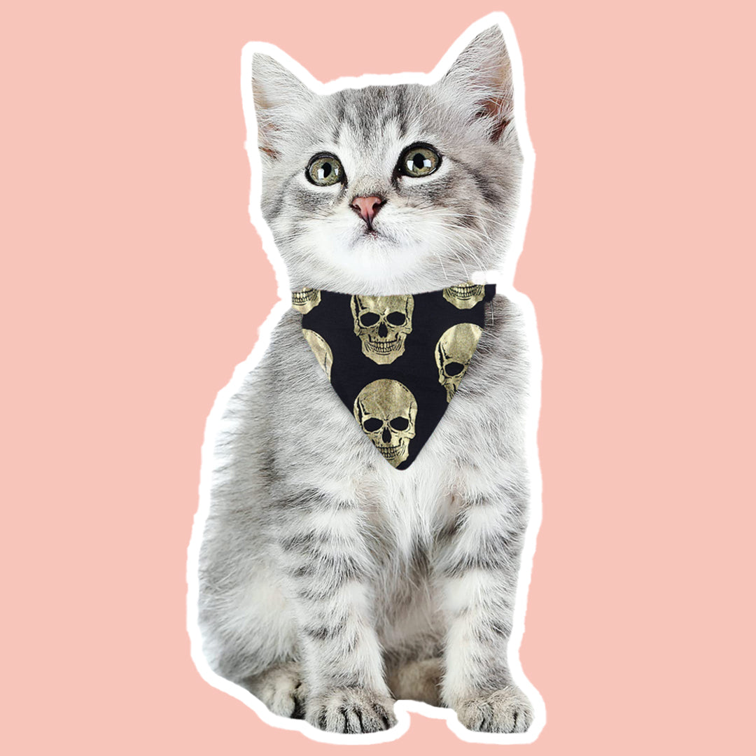 CAT BANDANAS & CAT BOW TIES – Styled Up Pup