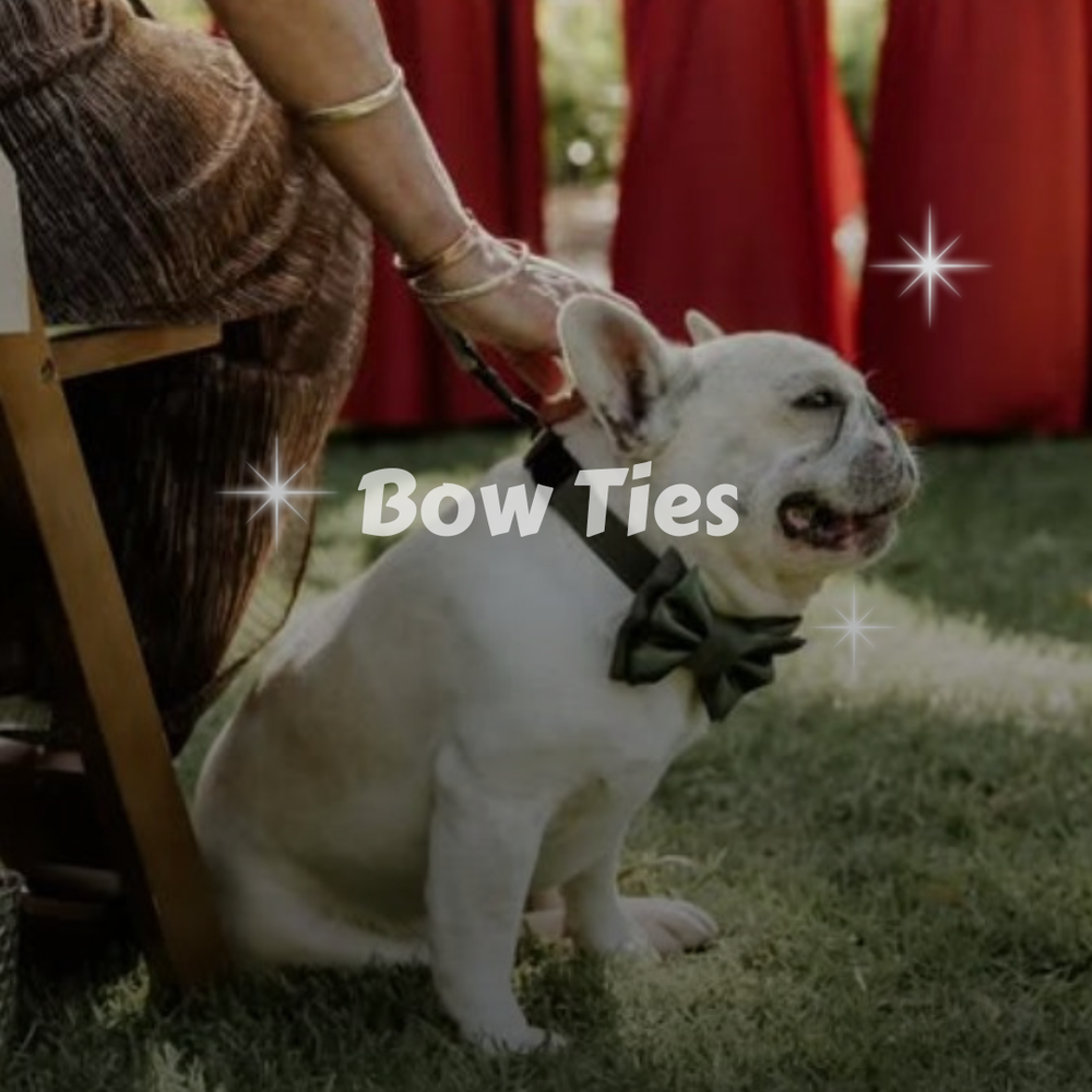 Shop Perth Dog Accessories & Merchandise for Pet Lovers Styled Up Pup ...